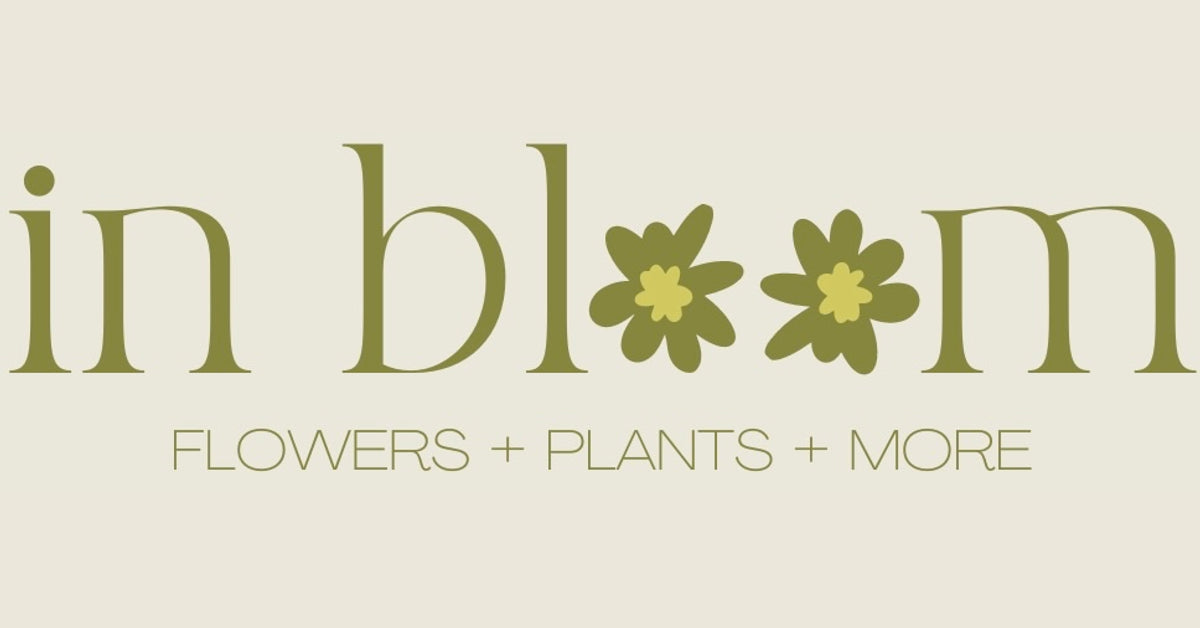 In Bloom Flower Shop // flowers + plants + more // 416-480-2222